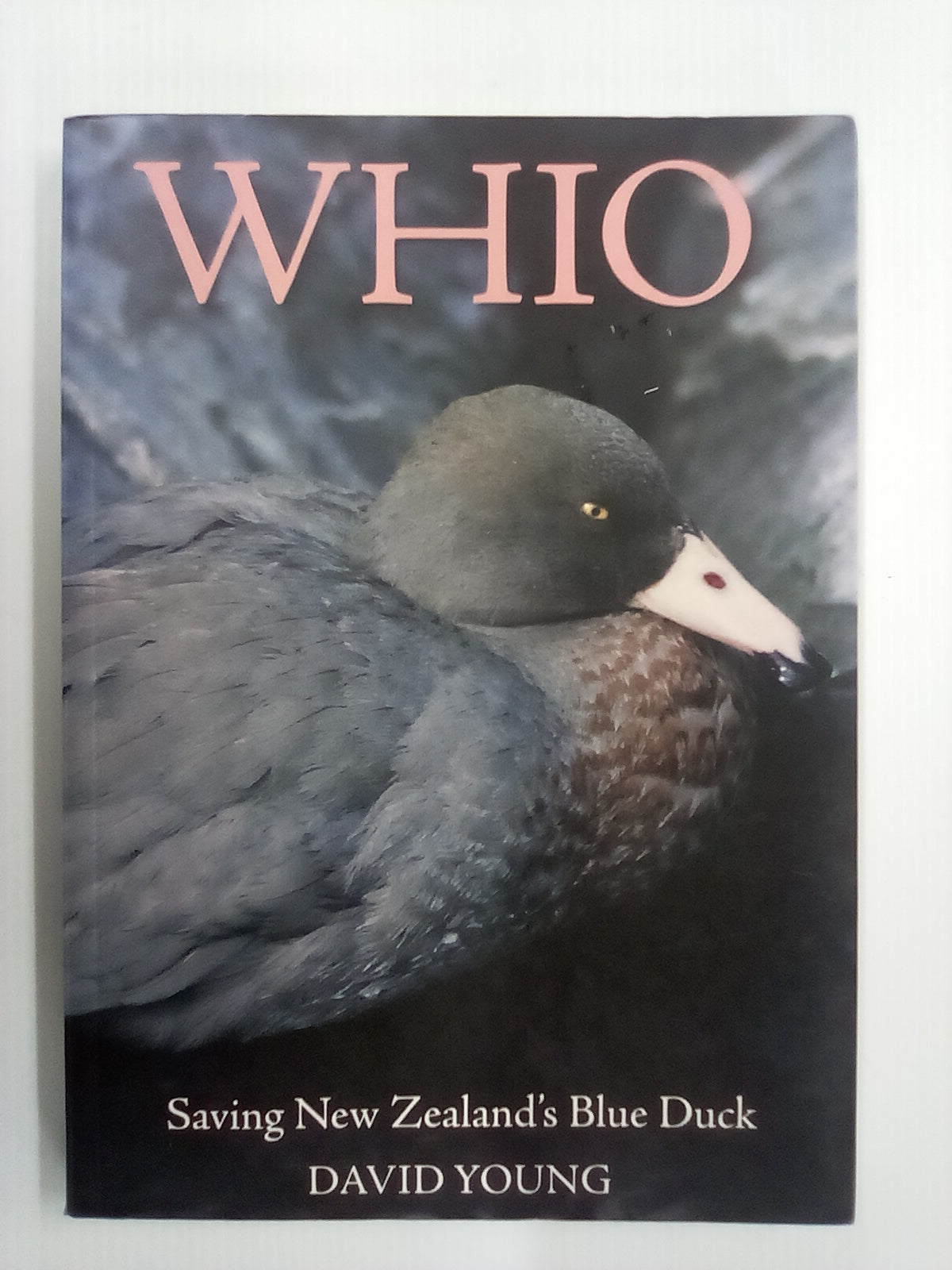Whio - Saving New Zealand's Blue Duck by David Young – Atlantis Books