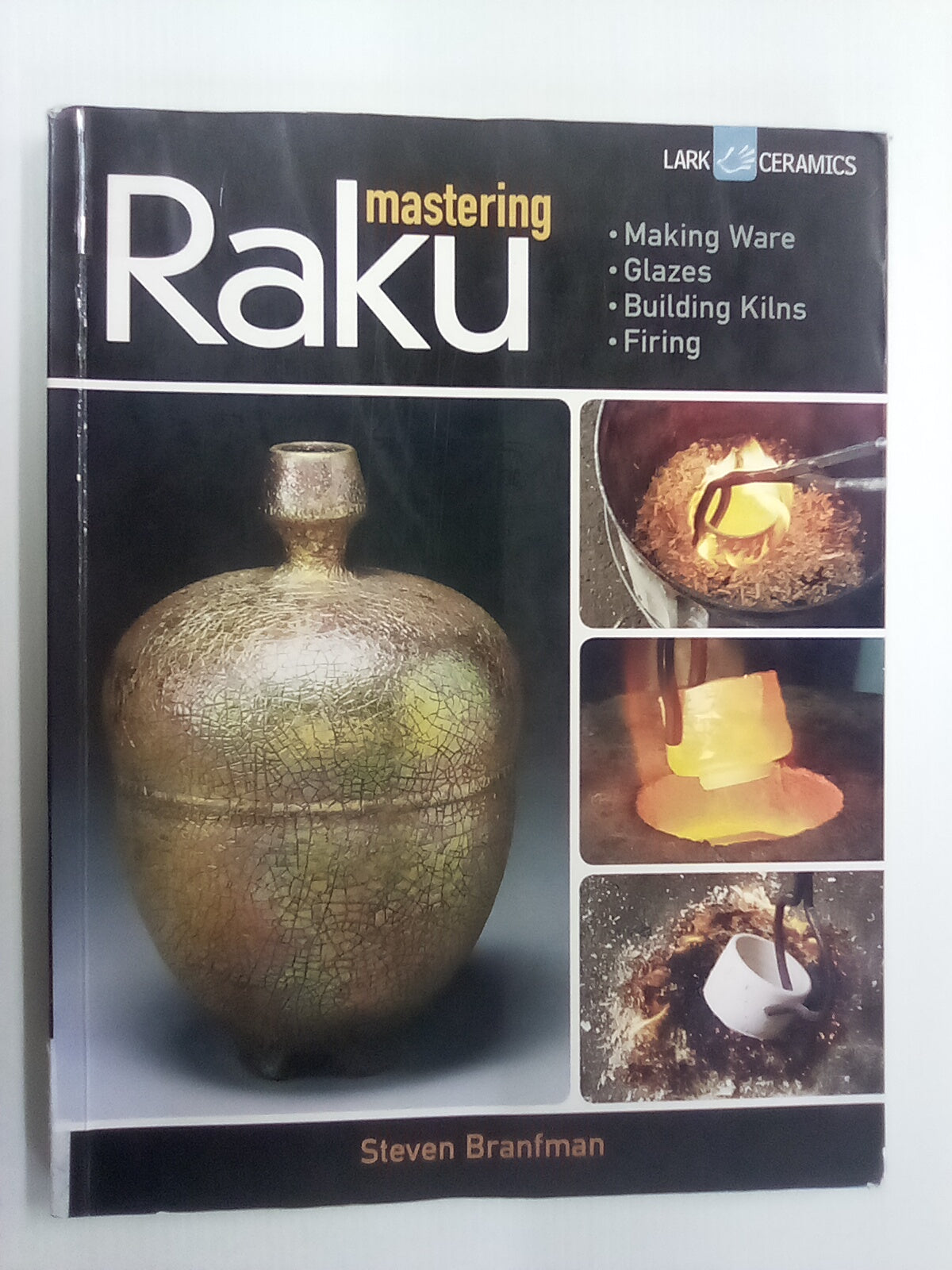 Mastering Raku by Steven Branfman – Atlantis Books