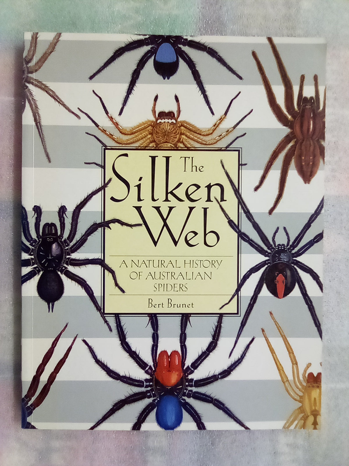 The Silken Web - A Natural History of Australian Spiders by Bert Brune ...